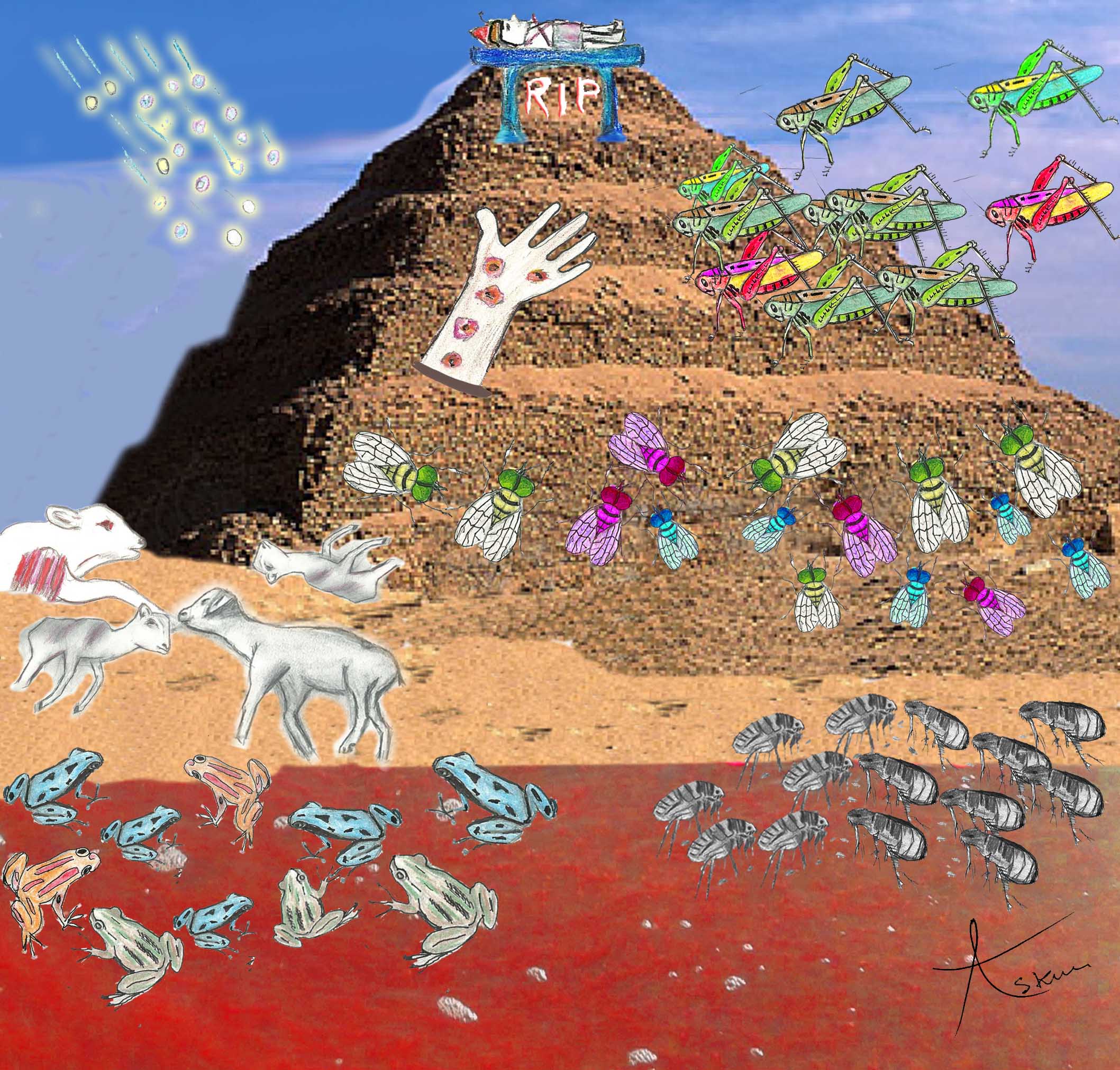 Dudando para que el Creador Se Manifieste (Parashá Vaerá) – David ...