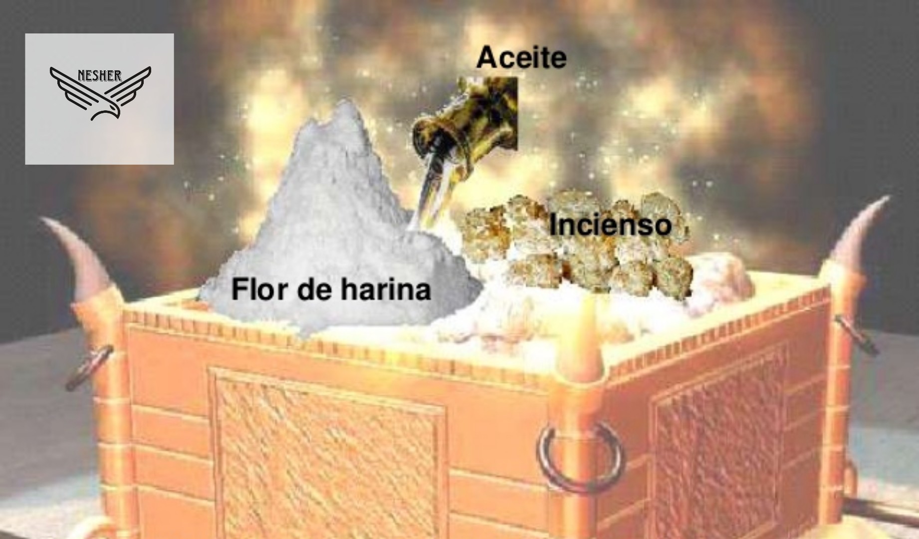 La Oblación: El Anuncio de que Dios es mi Socio. – David Nesher Blog