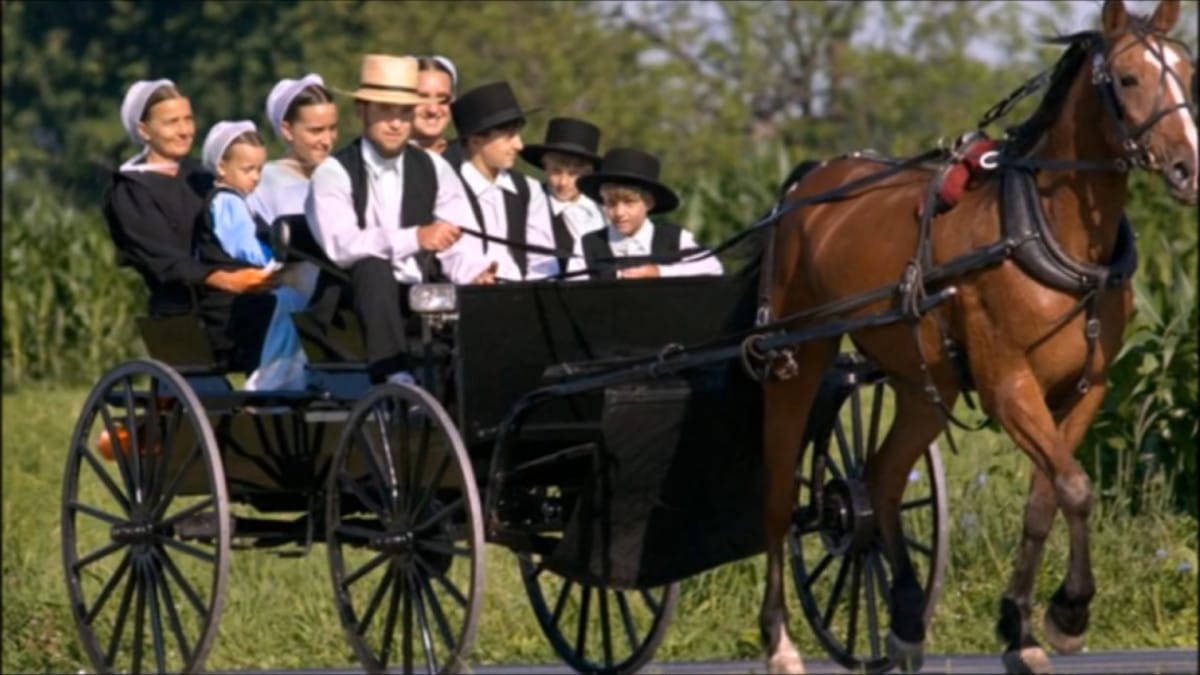 Los Amish: ¿Llegarán a dominar la Tierra?… (Sus códigos comunitarios ...